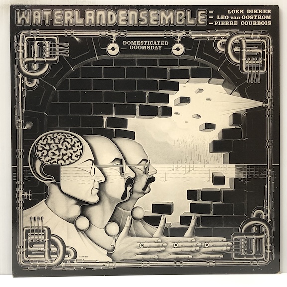 Domesticated Doomsday Machine (USED LP) - Euclid Records